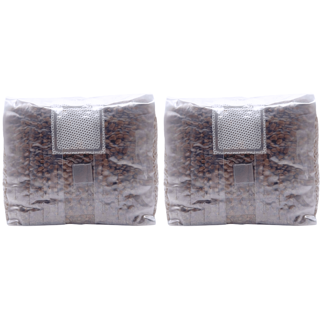 Best Mushroom Grain Spawn Bags | Sterile & Ready to Grow – Best ...